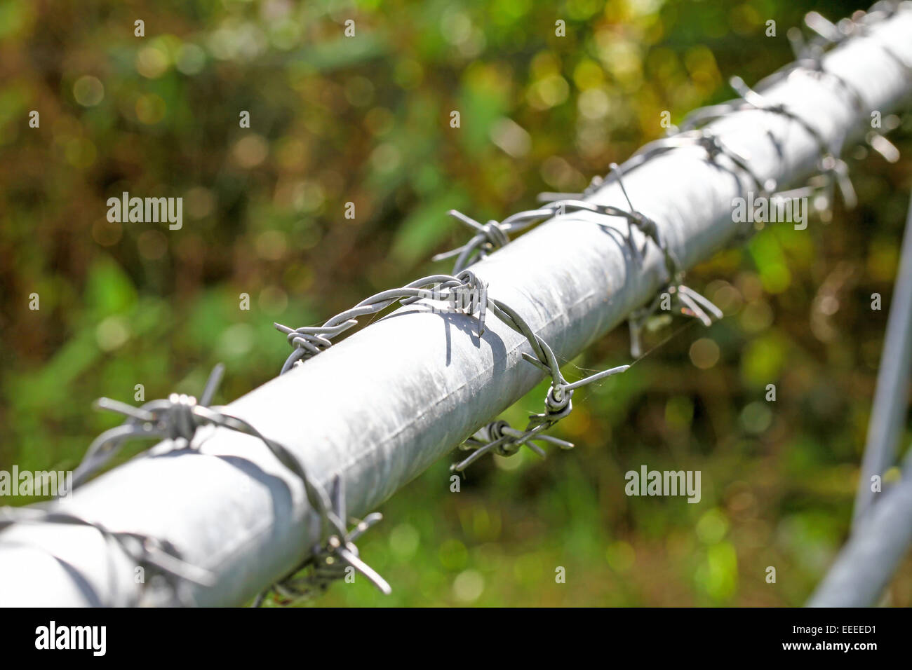 Spiked gate hi-res stock photography and images - Alamy