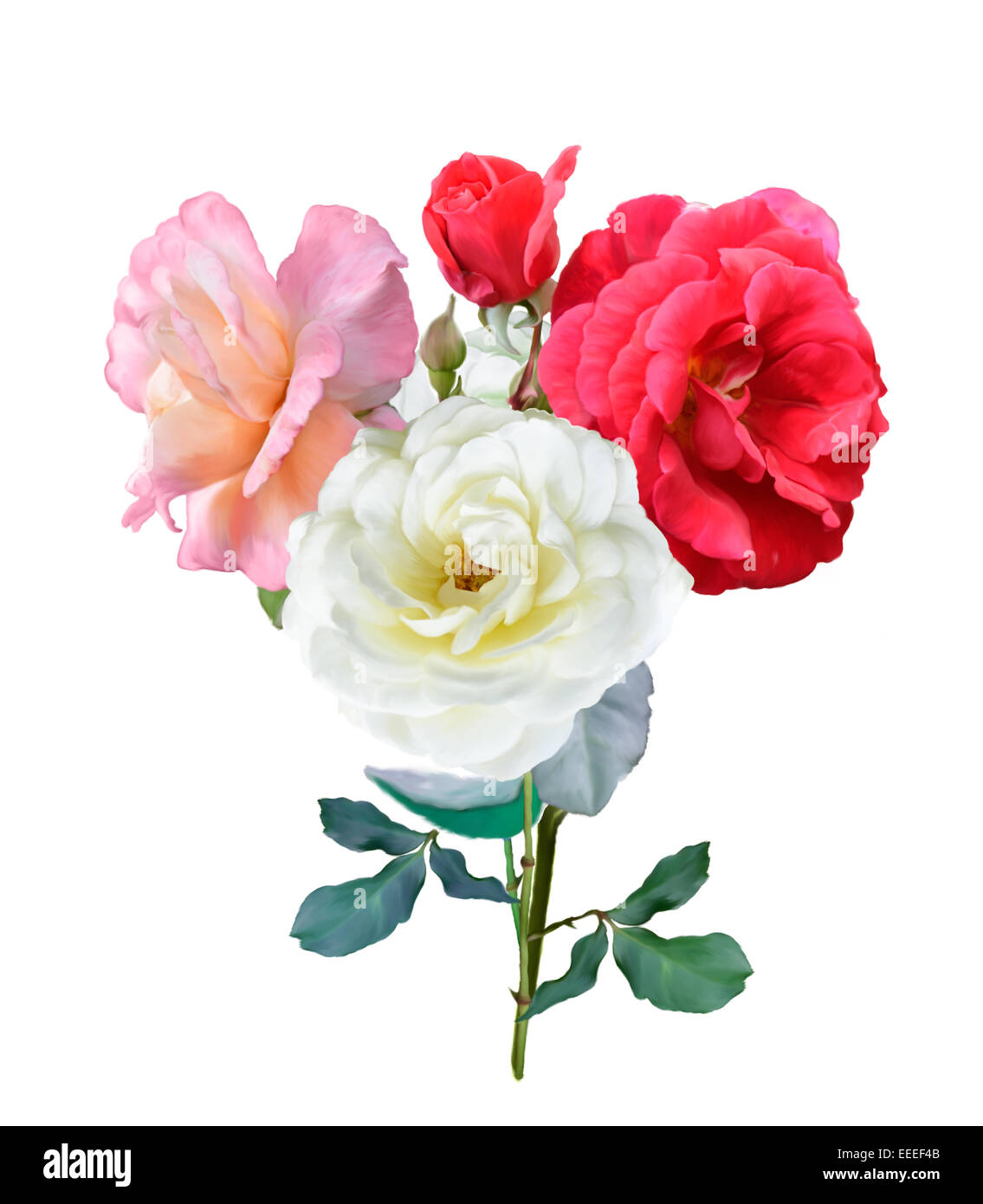 Digital Painting Of Rose Flowers Stock Photo - Alamy