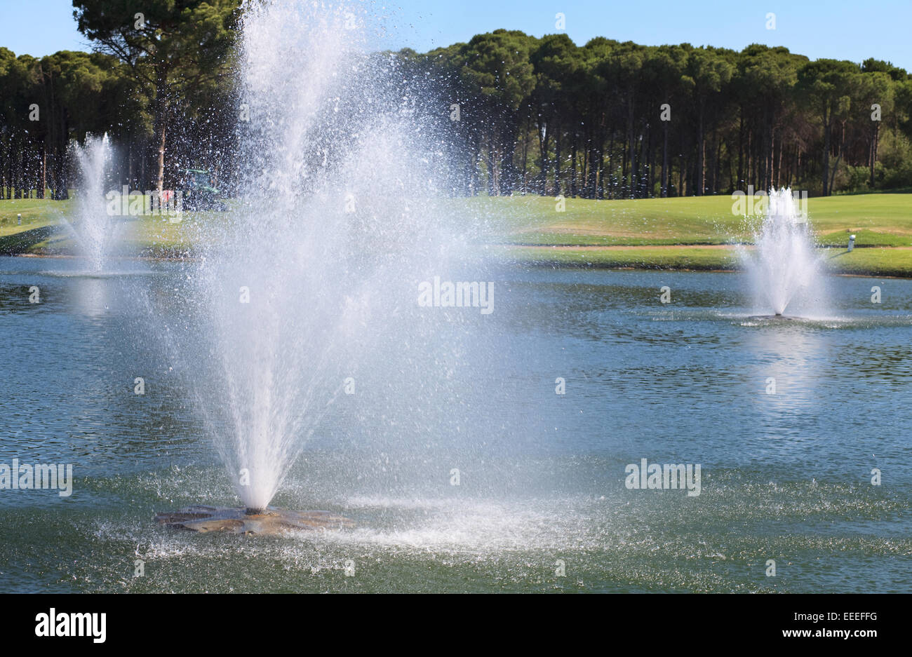 Fountain in the artificial pond Stock Photo - Alamy