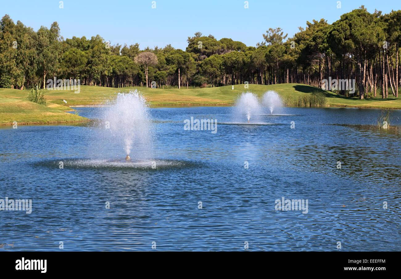 Fountain in the artificial pond Stock Photo - Alamy