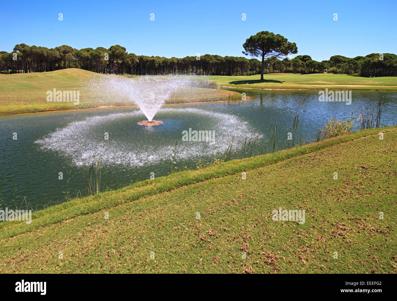 Fountain in the artificial pond Stock Photo - Alamy