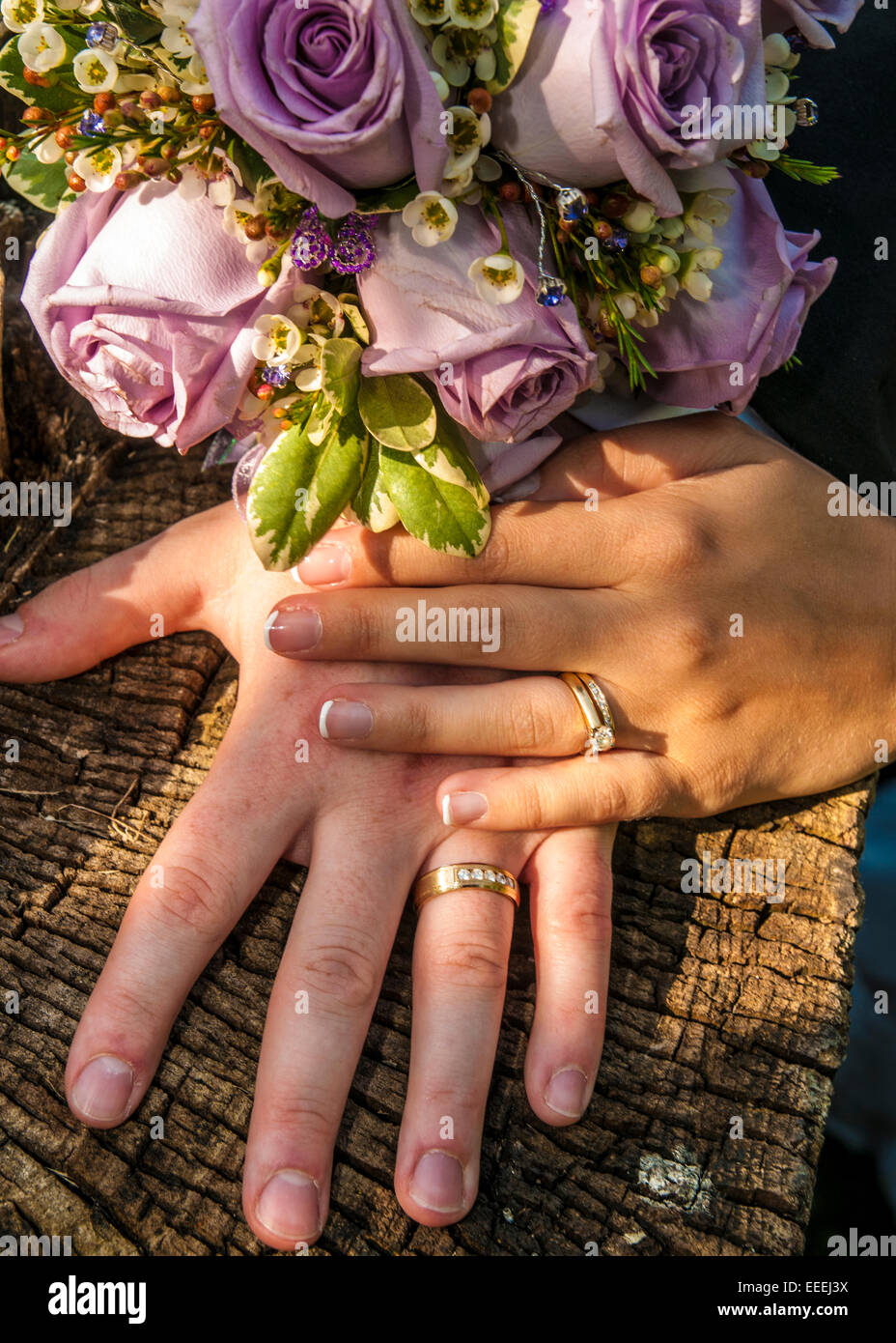 Just married couple showing their wedding rings Stock Photo - Alamy