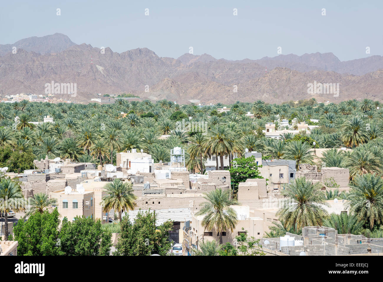 Date palms oman hi-res stock photography and images - Alamy