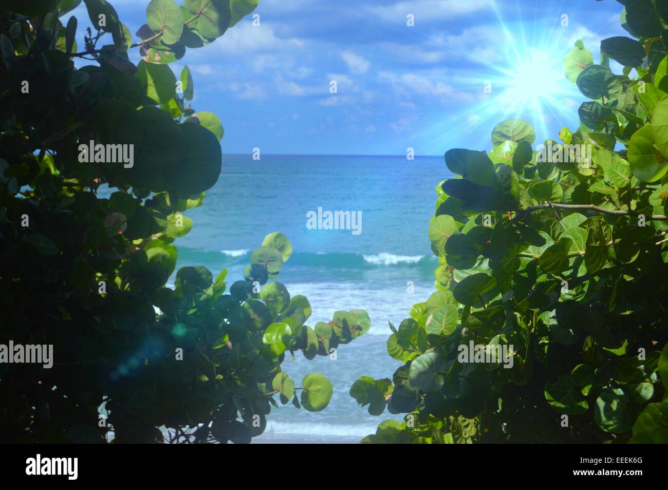 Heaven tropical beaches hi-res stock photography and images - Alamy
