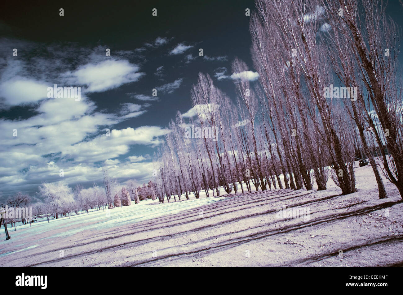 Landscape scene shot with an infrared filter Stock Photo - Alamy