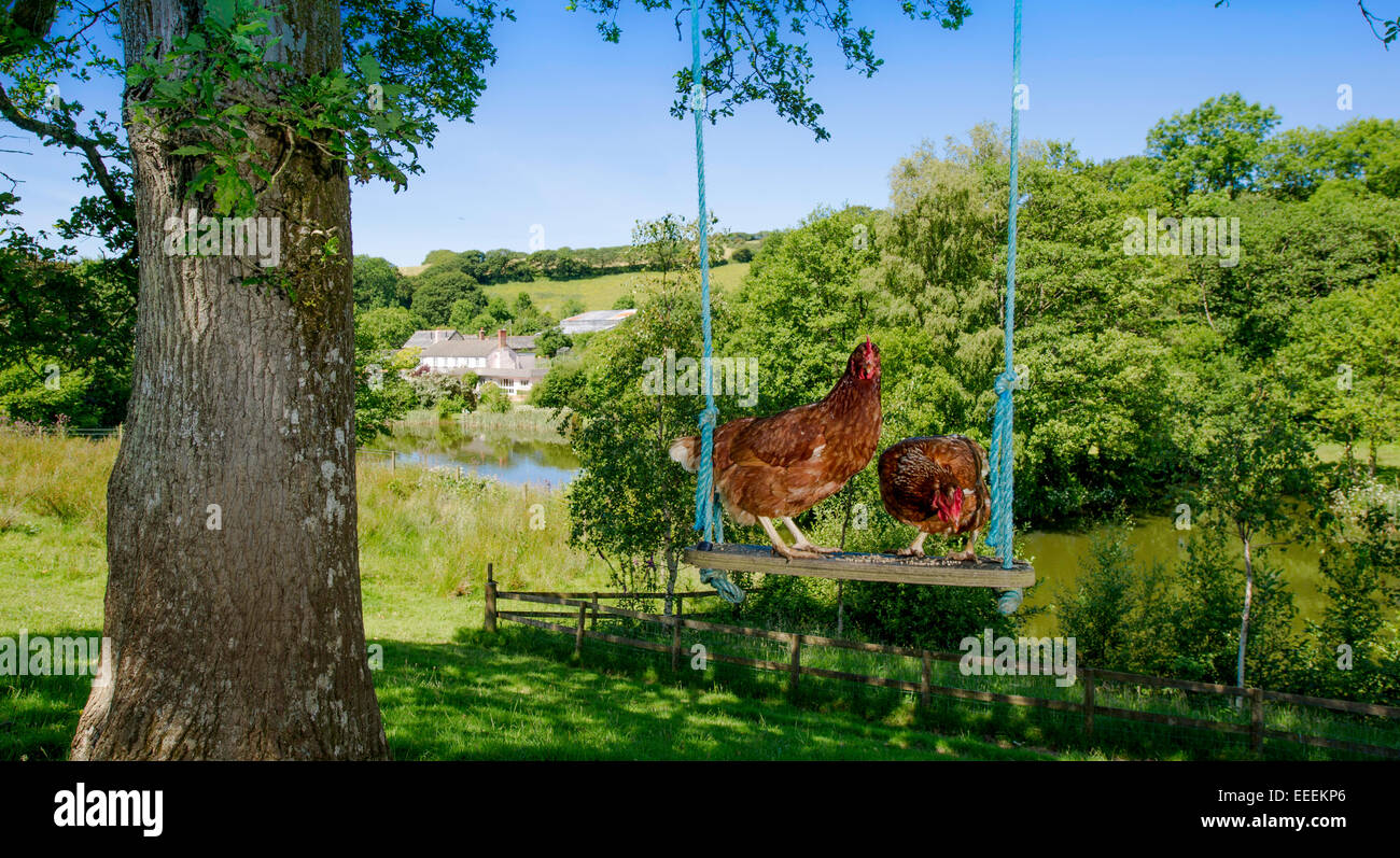 English farm hi-res stock photography and images - Alamy