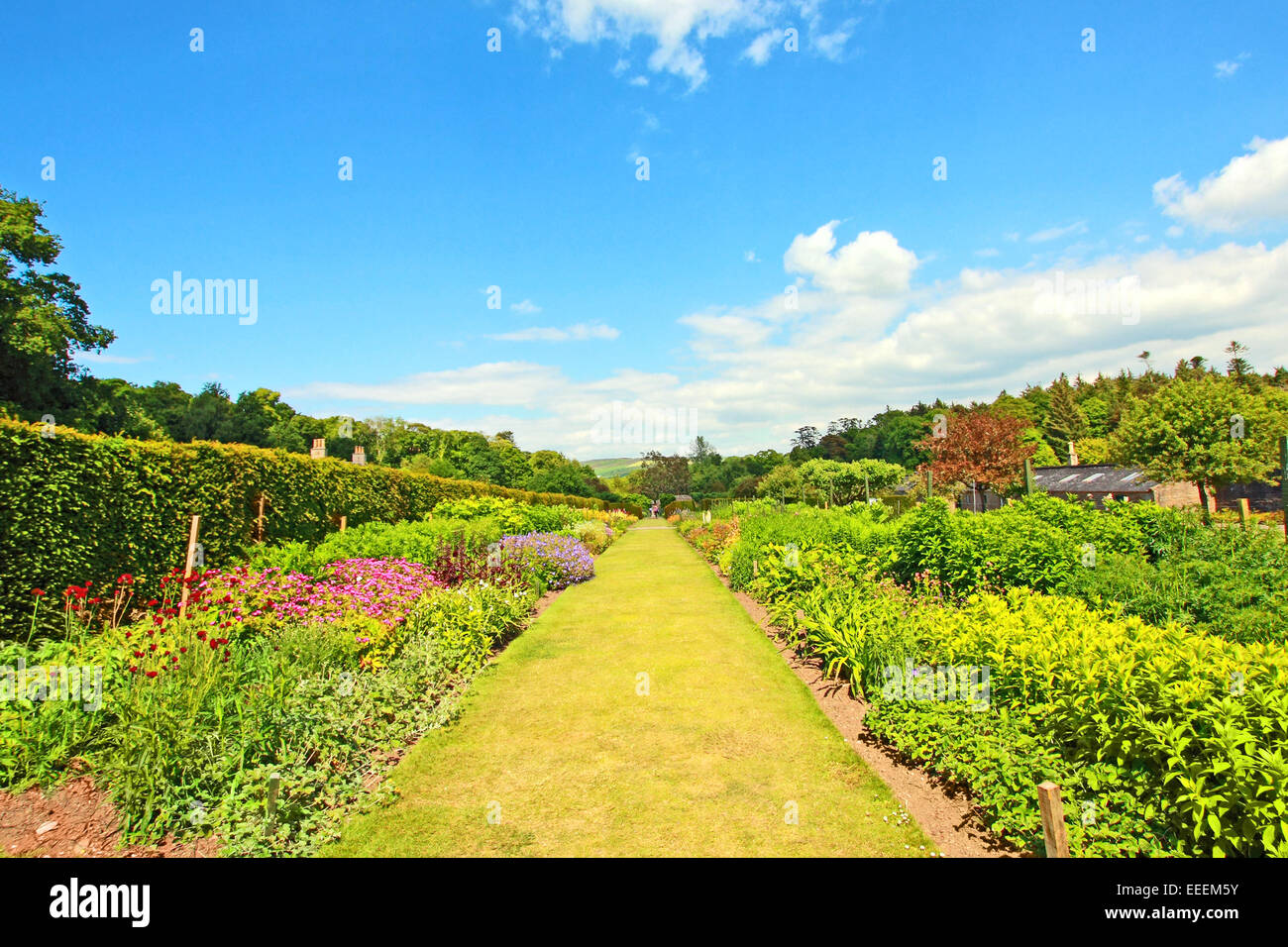 Beautiful Spring garden, UK Stock Photo - Alamy