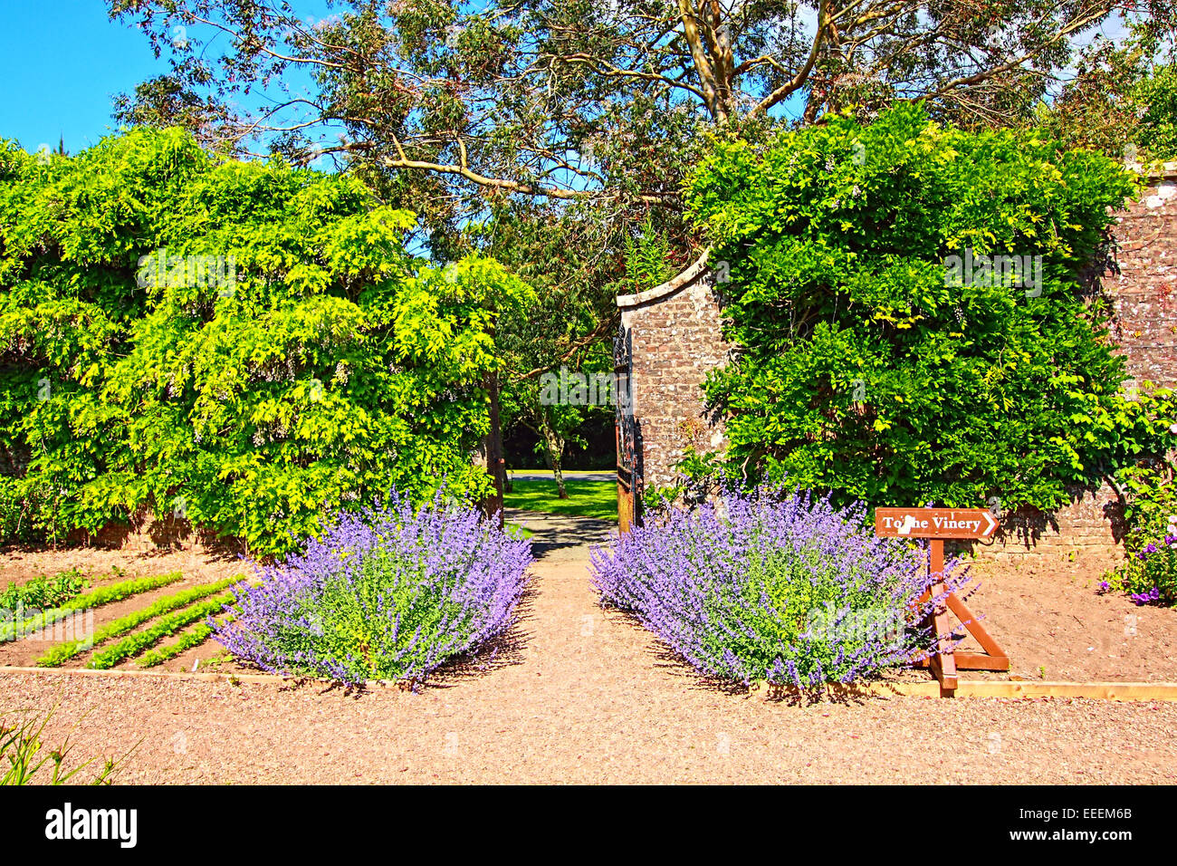 Old gate uk hi-res stock photography and images - Alamy
