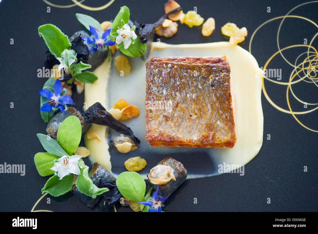 Food close up restaurants plates Stock Photo - Alamy
