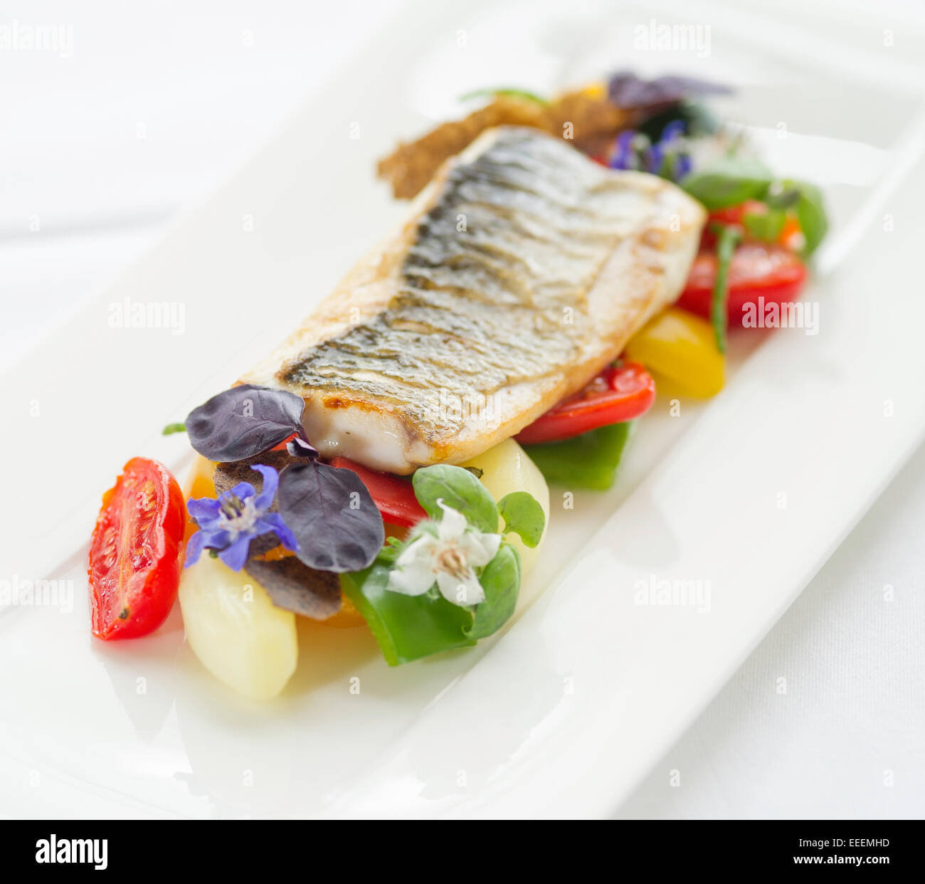 Food close up restaurants plates Stock Photo - Alamy
