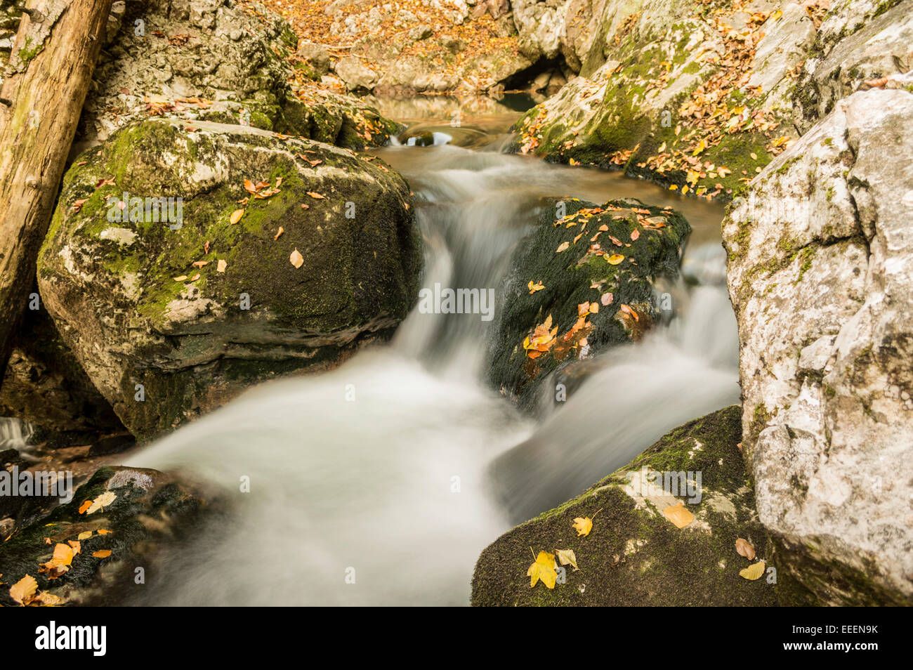underground intermittent spring with stream of water dee into the ...