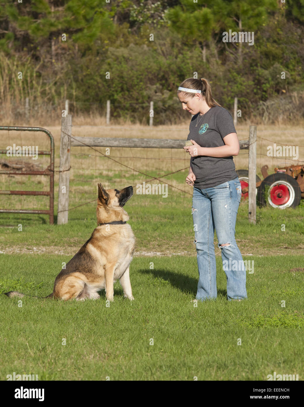 Can German Shepherds Play Fetch