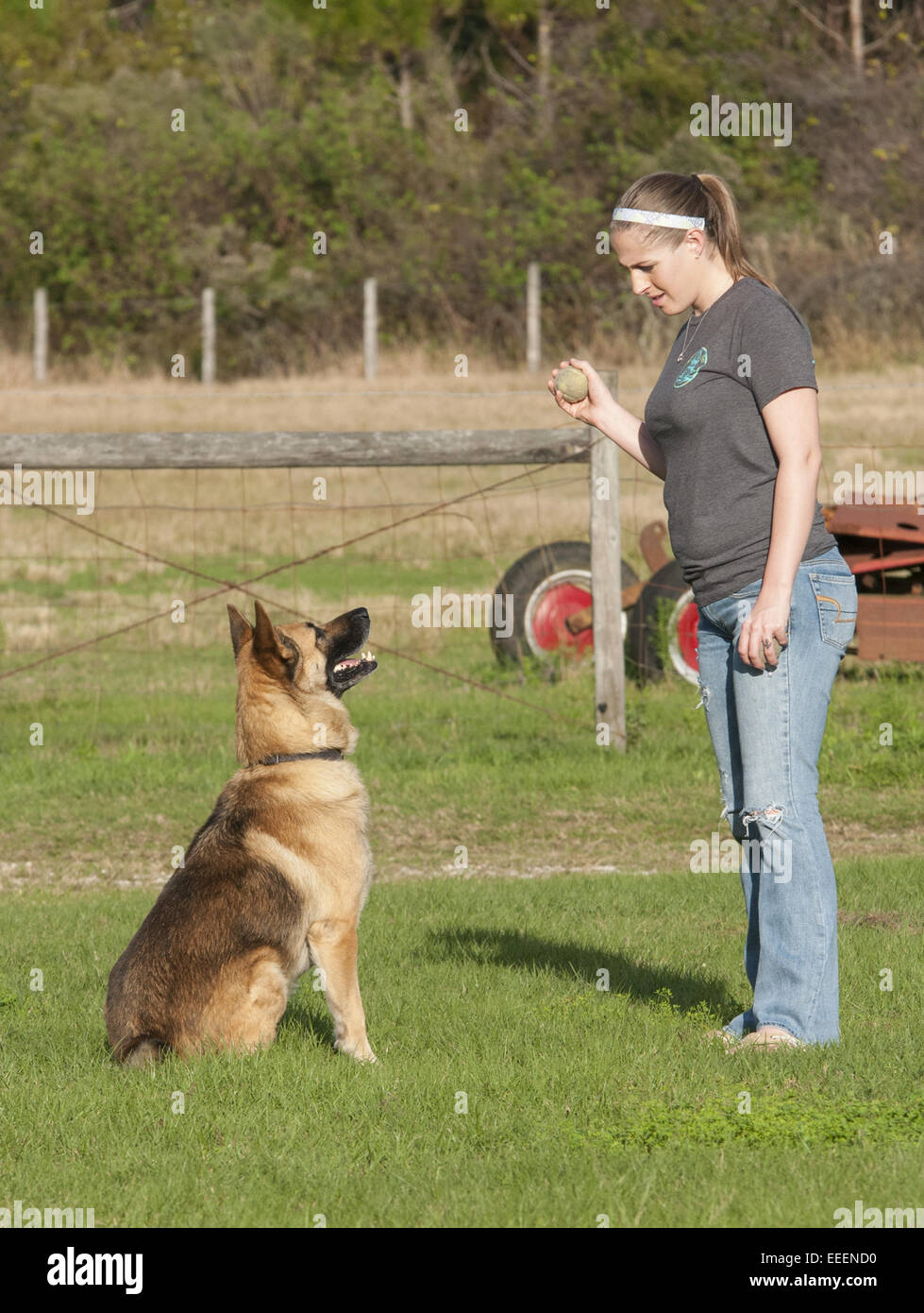 Woman playing fetch with her German Shepherd Stock Photo - Alamy