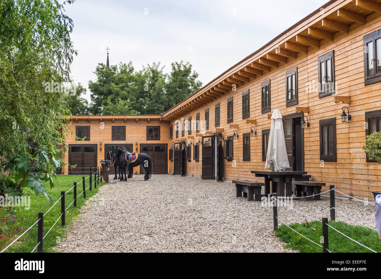 horses in front of the stable door Stock Photo - Alamy