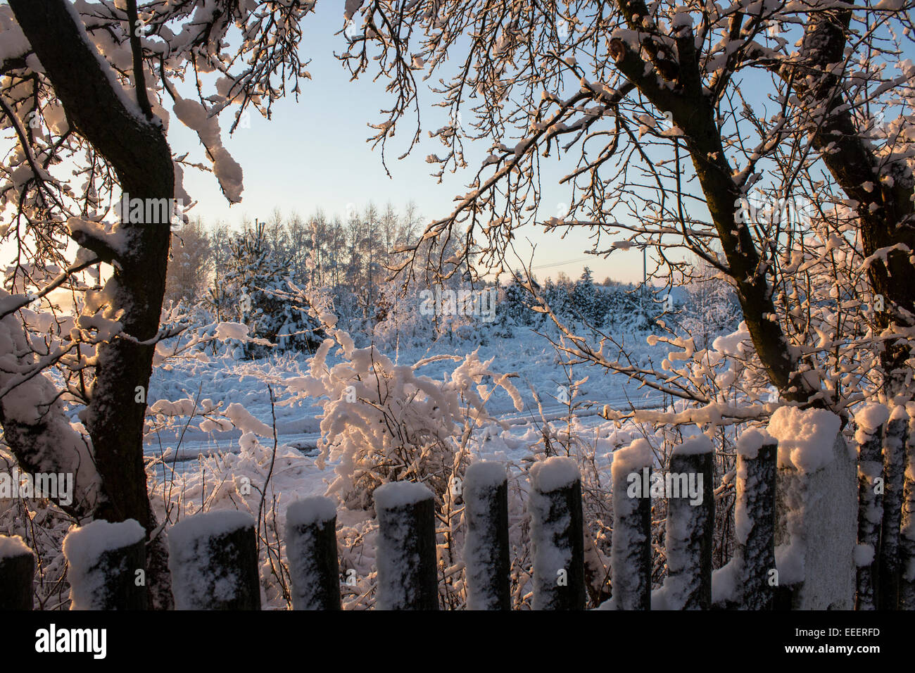 Winter landscape at dawn Stock Photo - Alamy