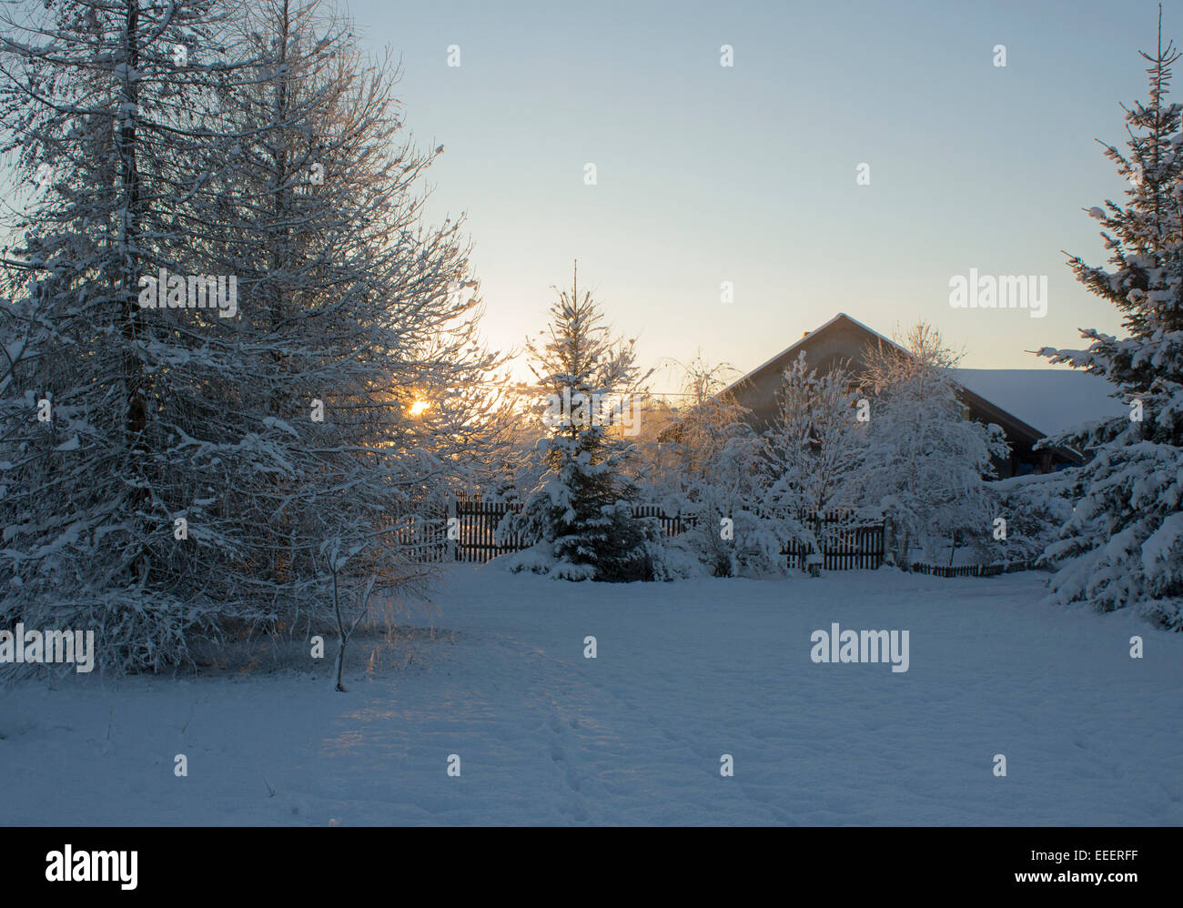 Winter landscape at dawn Stock Photo - Alamy