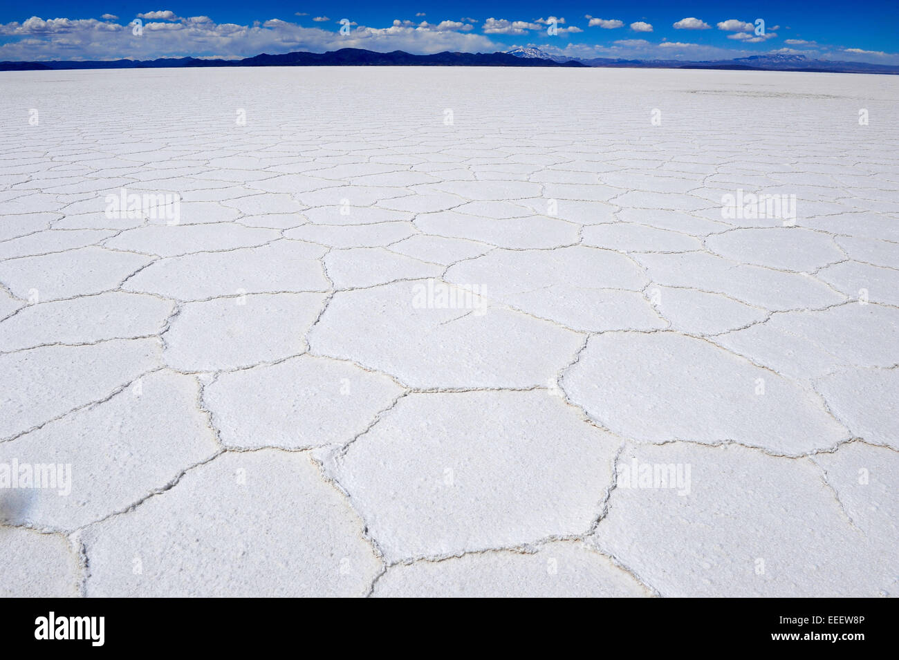 The hexagonal patterns formed in the salt change color throughout the ...