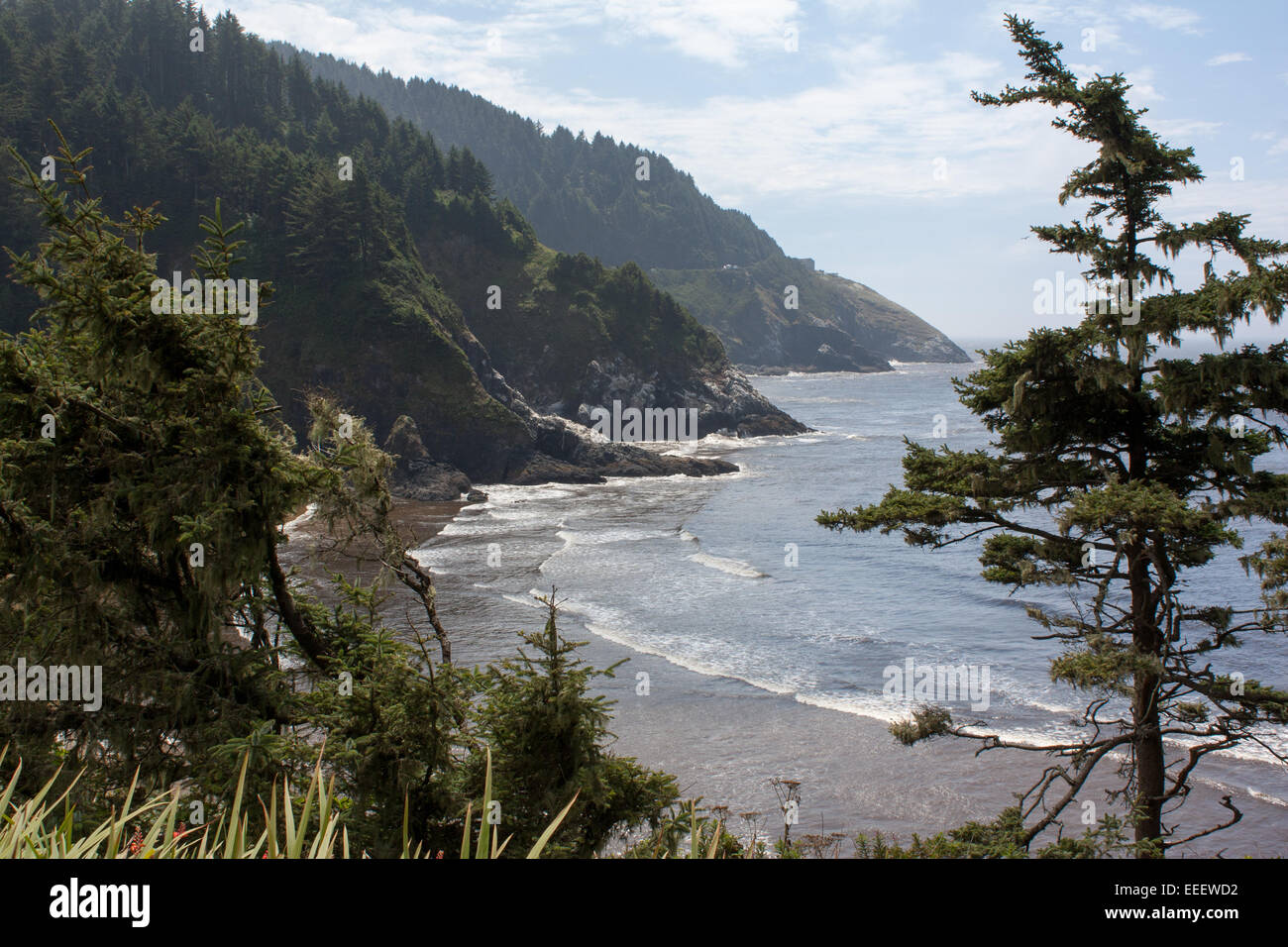 Pacific Coast view near Heceta Head State Scenic Viewpoint in Oregon ...