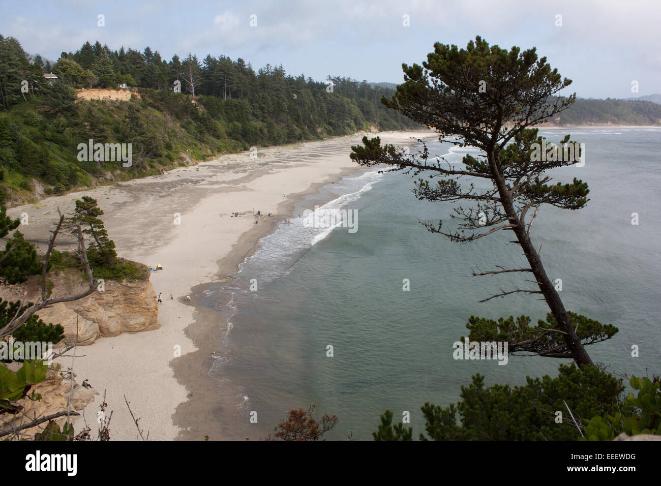 Sand beach view on Oregon coast Stock Photo - Alamy