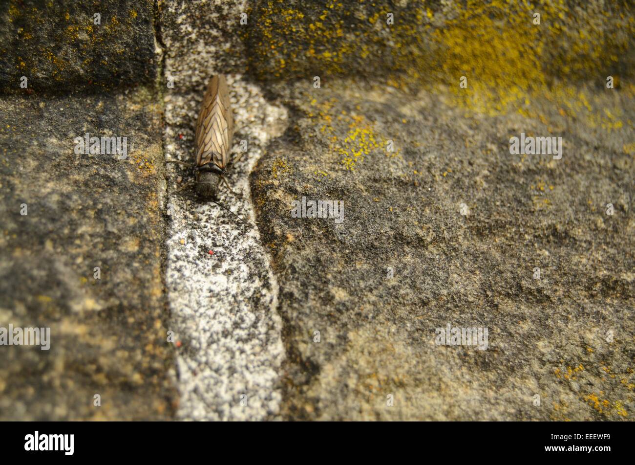 Possil hi-res stock photography and images - Alamy