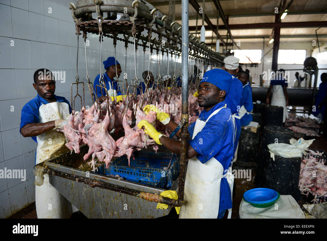MOZAMBIQUE, Chimoio, chicken farm and slaughterhouse Agro-Pecuaria ...