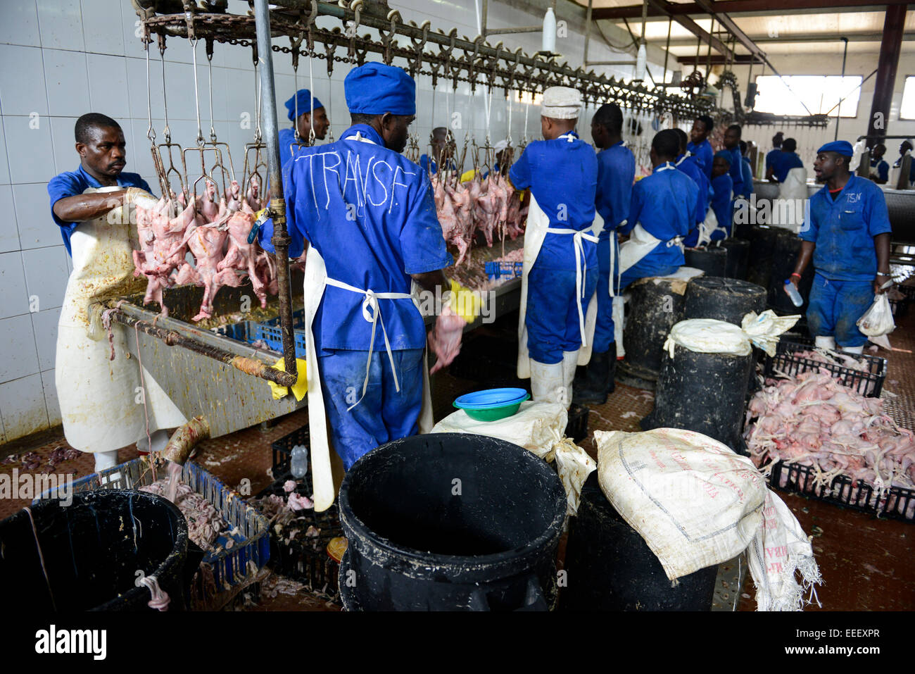 MOZAMBIQUE, Chimoio, chicken farm and slaughterhouse Agro-Pecuaria ...