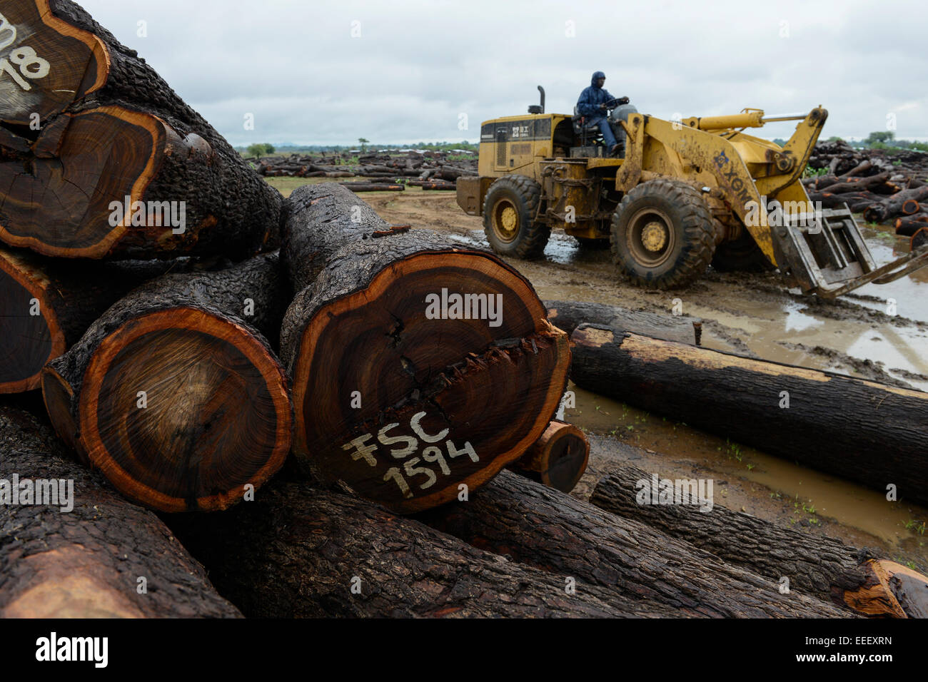 Beira corridor hi-res stock photography and images - Alamy