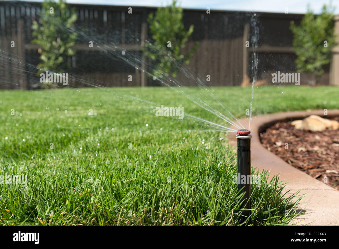 Sprinkler head spraying water hi-res stock photography and images - Alamy