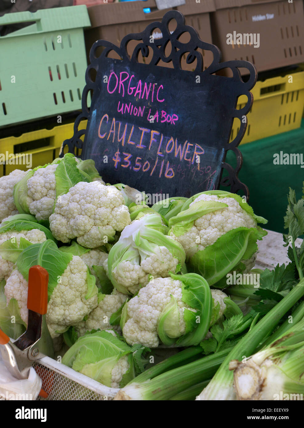 Organic Cauliflower picked with union labor on display at Farmers ...