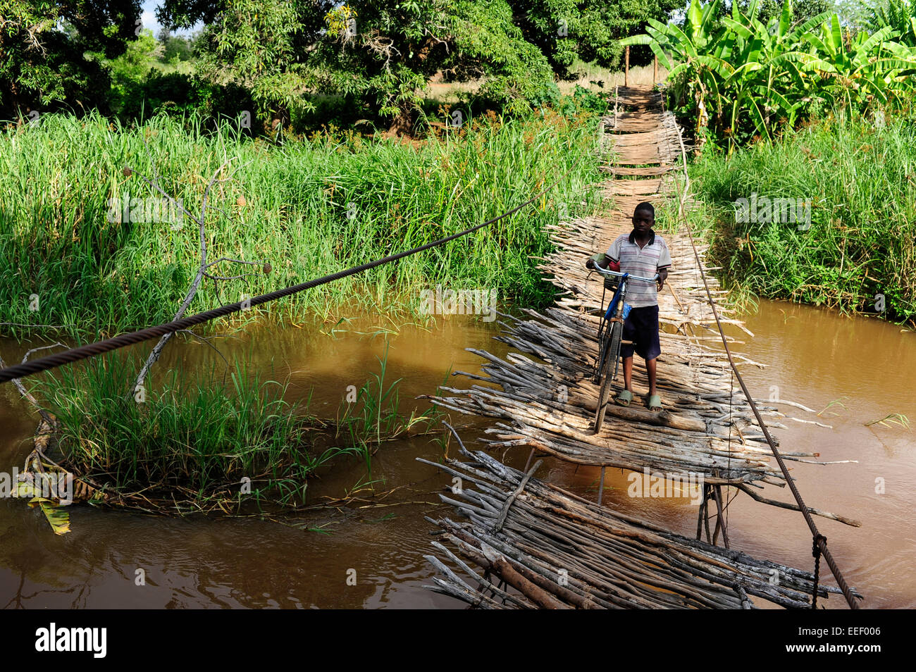 TANZANIA, Korogwe, hanging bridge in Kwalukonge / TANSANIA, Korogwe ...