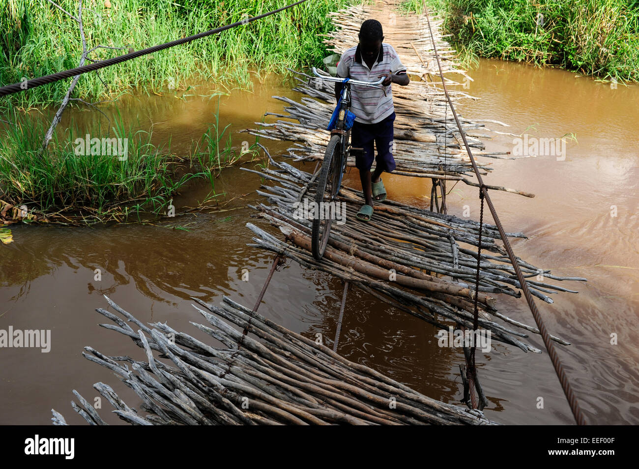 TANZANIA, Korogwe, hanging bridge in Kwalukonge / TANSANIA, Korogwe ...