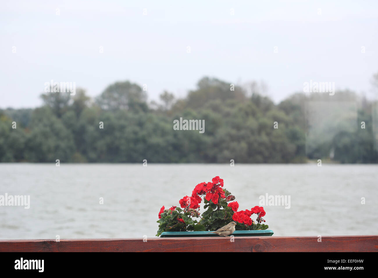 River View From Terrace in Nature Stock Photo - Alamy