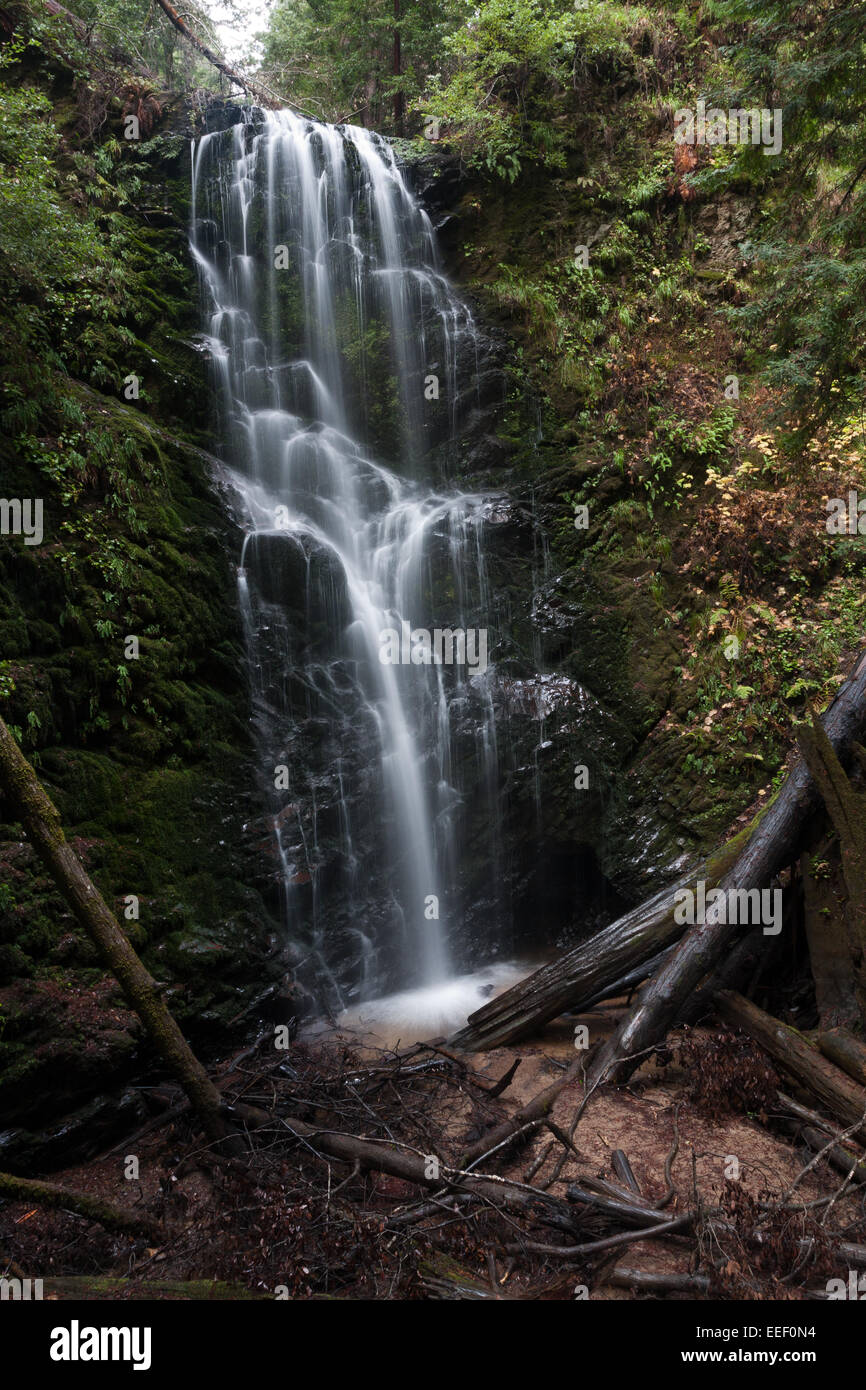 Skyline big basin state park hi-res stock photography and images - Alamy