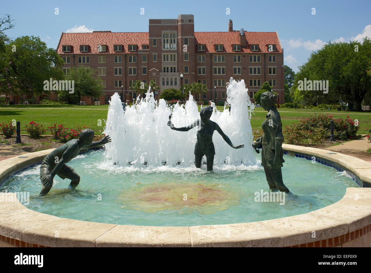 University of florida hi-res stock photography and images - Alamy