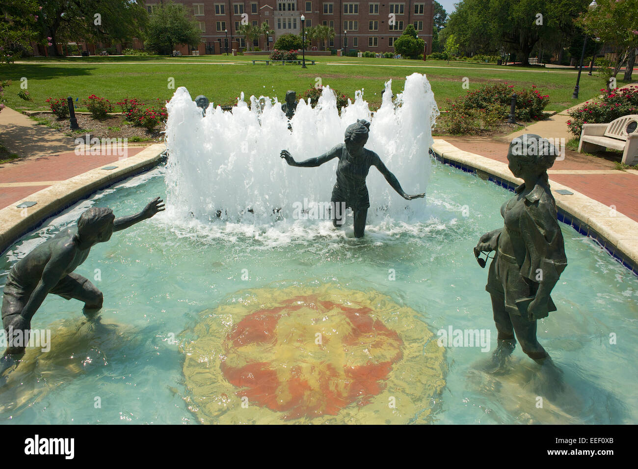 Florida state university hi-res stock photography and images - Alamy