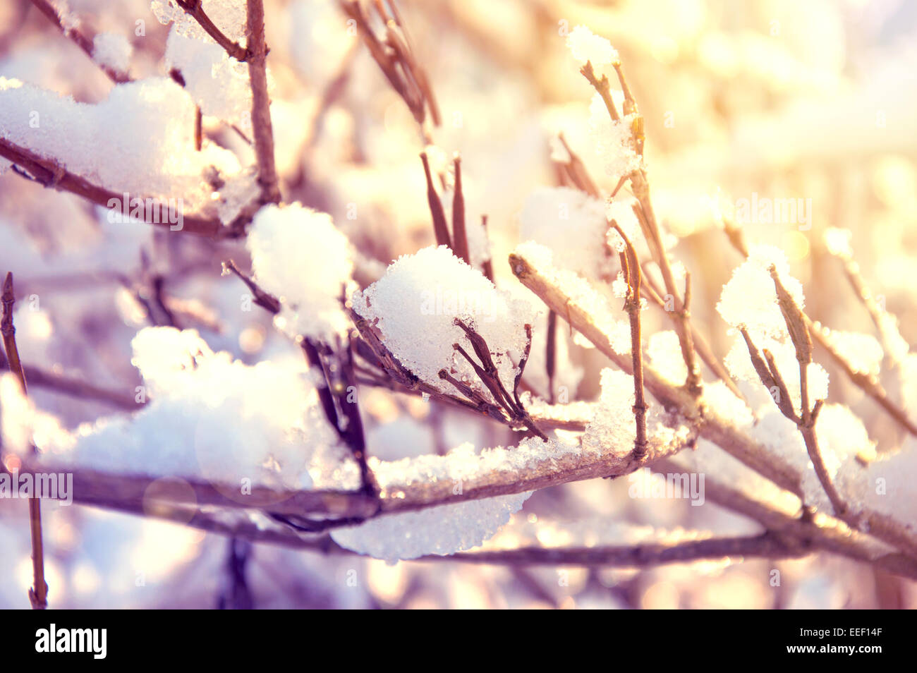 White winter nature ice view hi-res stock photography and images - Alamy