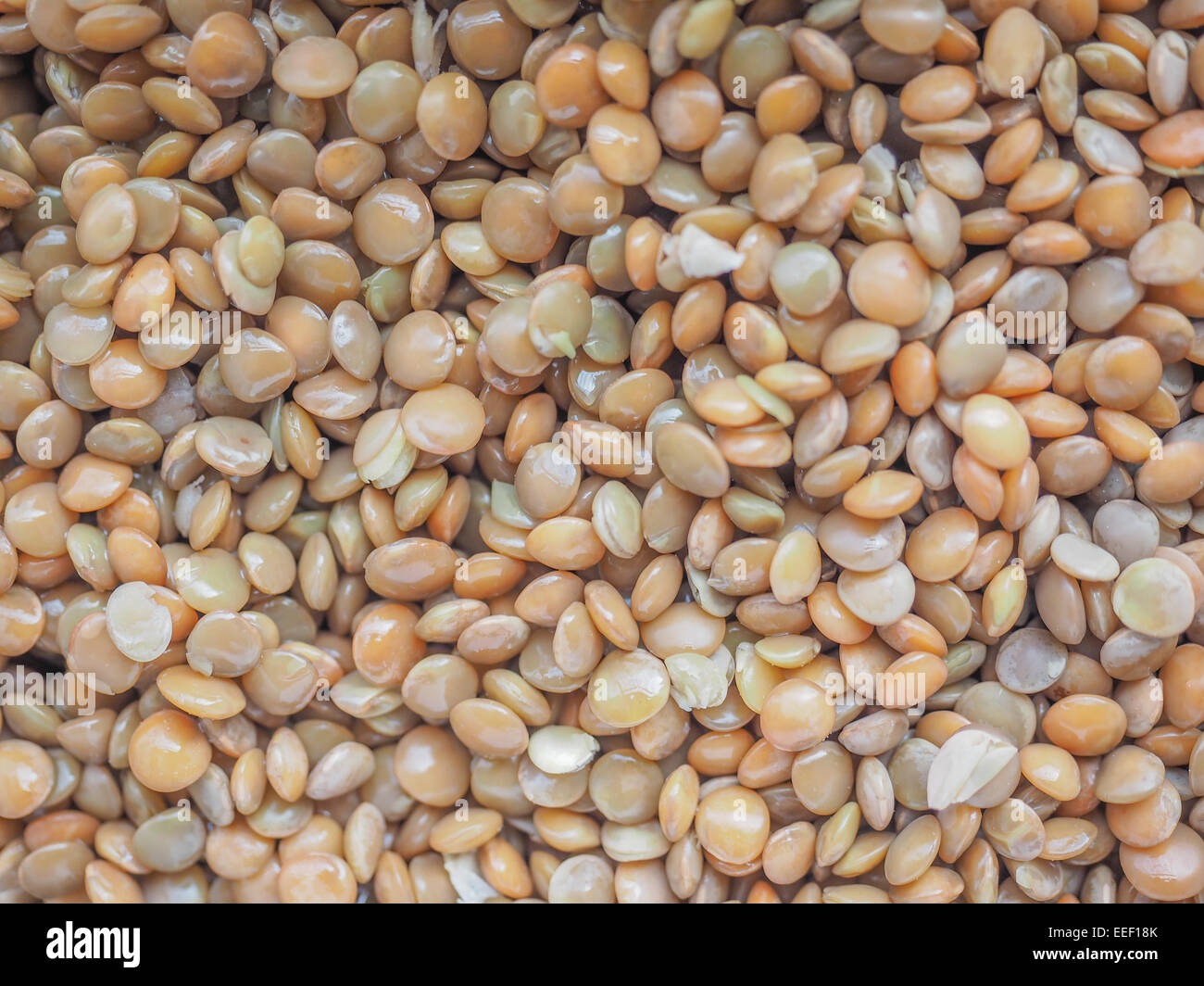 Lentil pulse nuts aka Lens culinaris useful as background Stock Photo ...