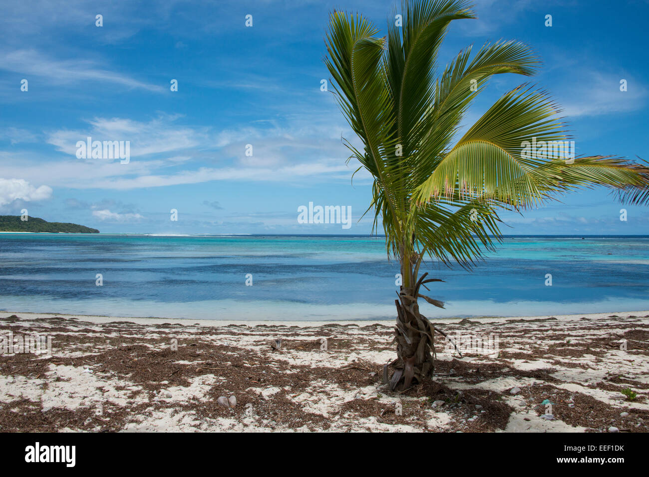 Fiji, Southern Lau Group, Island of Fulanga. Scenic tropical coastline ...