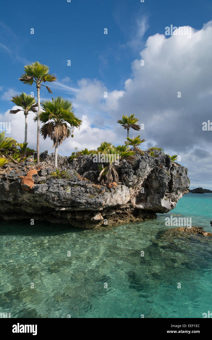 Fijian tropical island view hi-res stock photography and images - Alamy