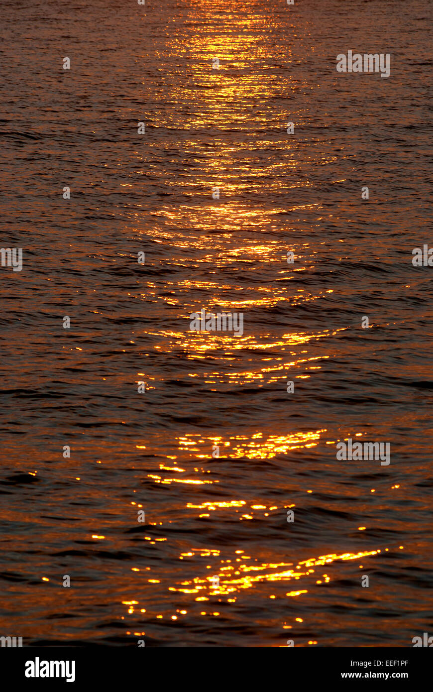 Sunset seascape / Golden sea Stock Photo - Alamy