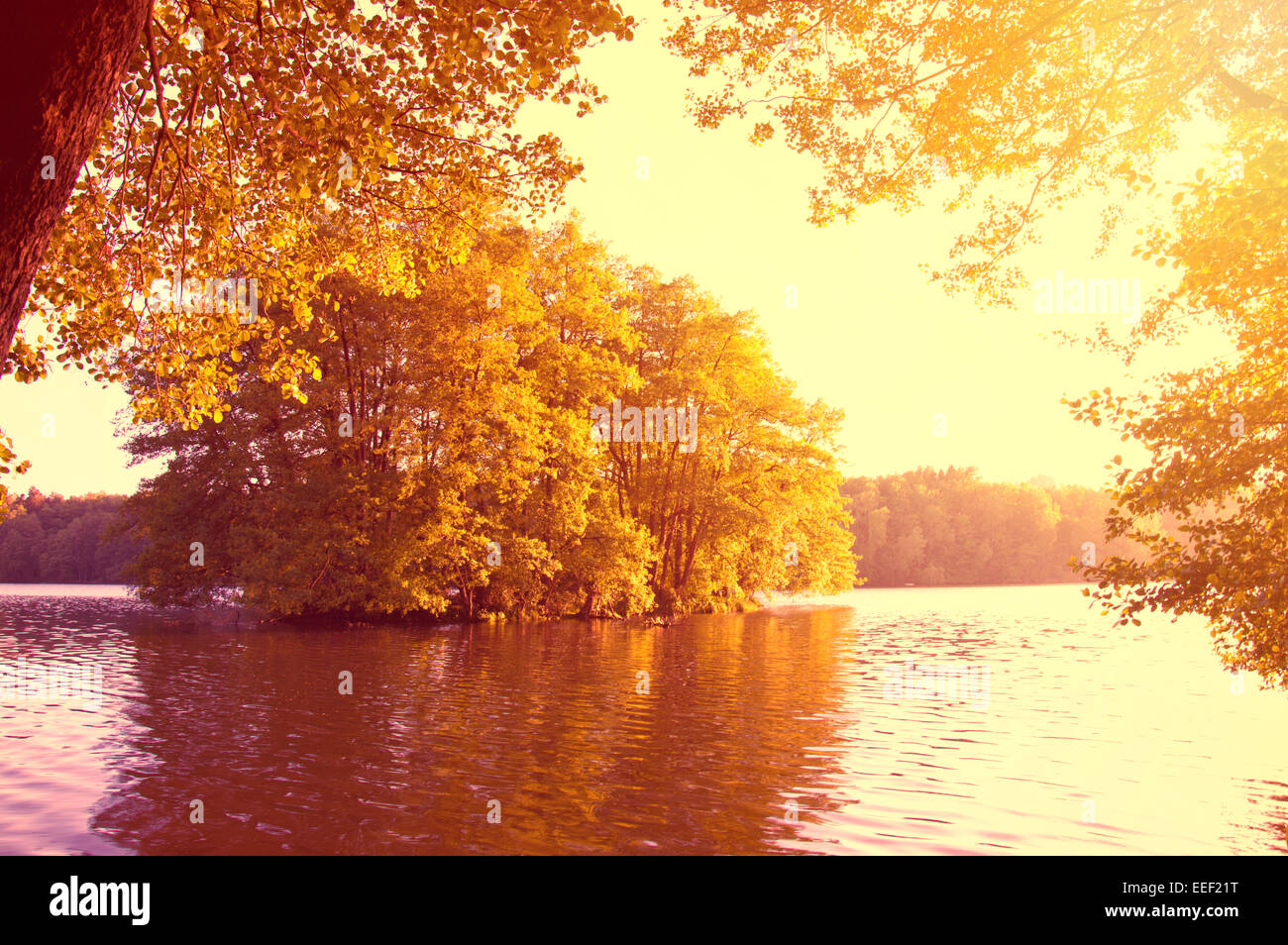 Lake and forest. Sundown over lake seen from the green forest Stock ...