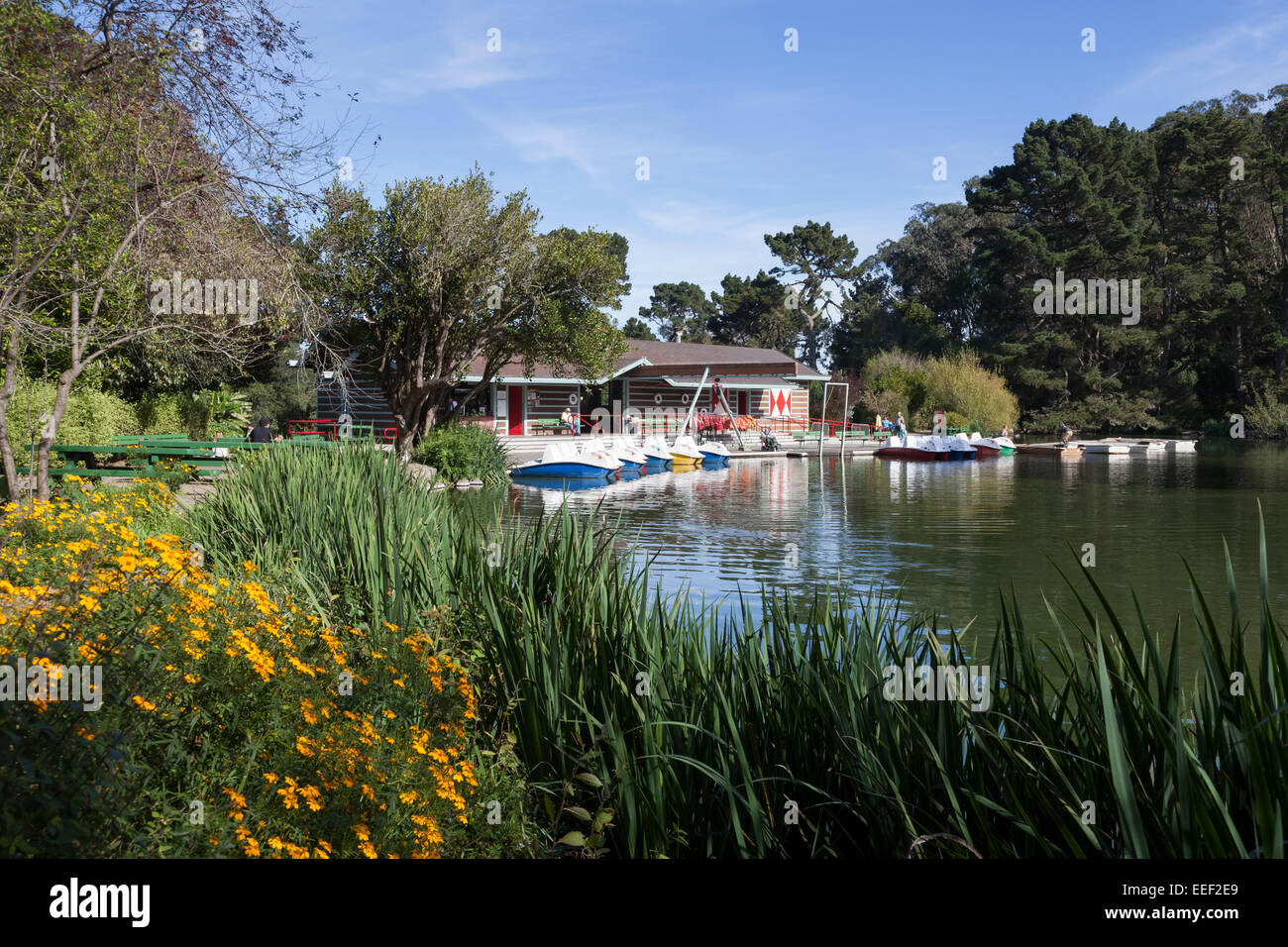 Stow Lake Boathouse in Golden Gate Park - San Francisco, San Francisco ...