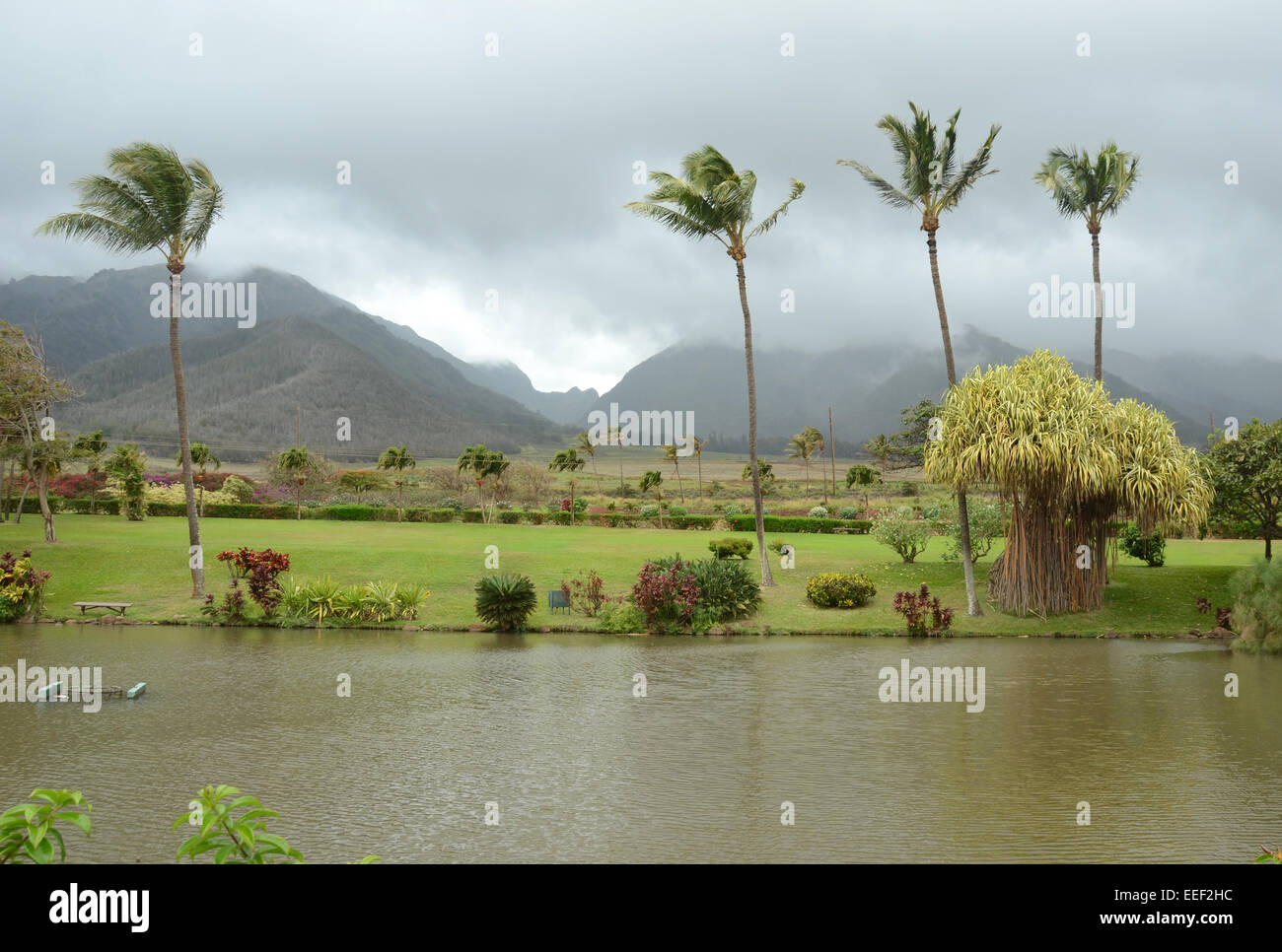 Beautiful nature scenery from Maui, Hawaii Stock Photo - Alamy