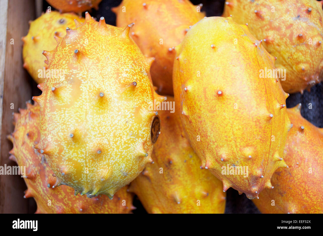 African cucumber hi-res stock photography and images - Alamy