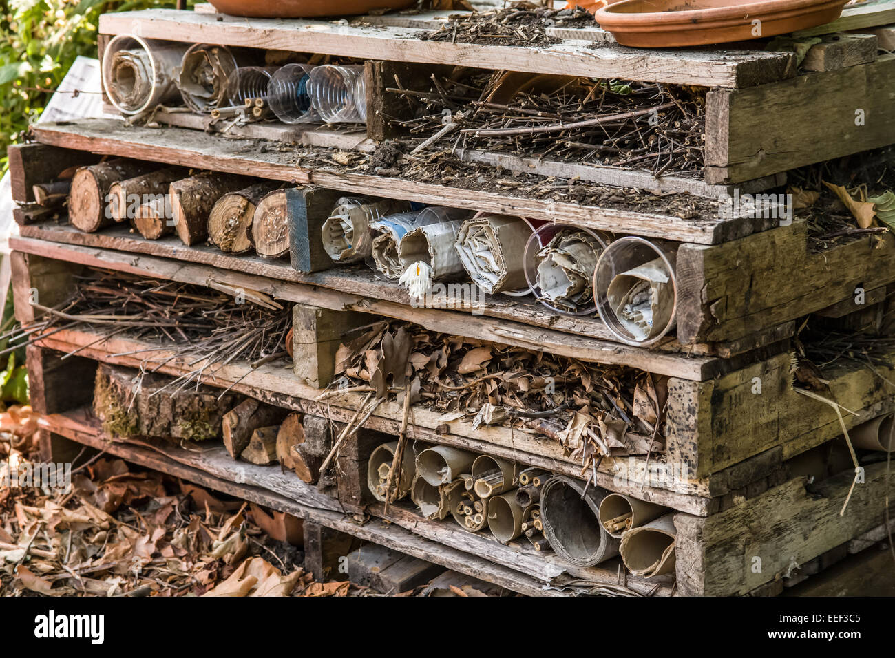 Insect hotel pallet hi-res stock photography and images - Alamy