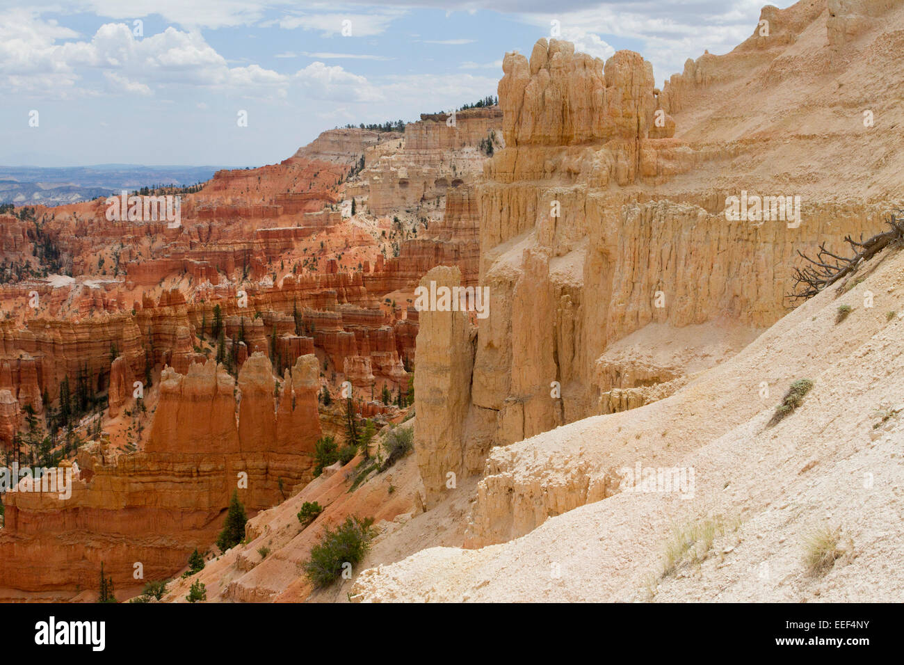 View of hoodoos & other limestone rock formations from Inspiration ...