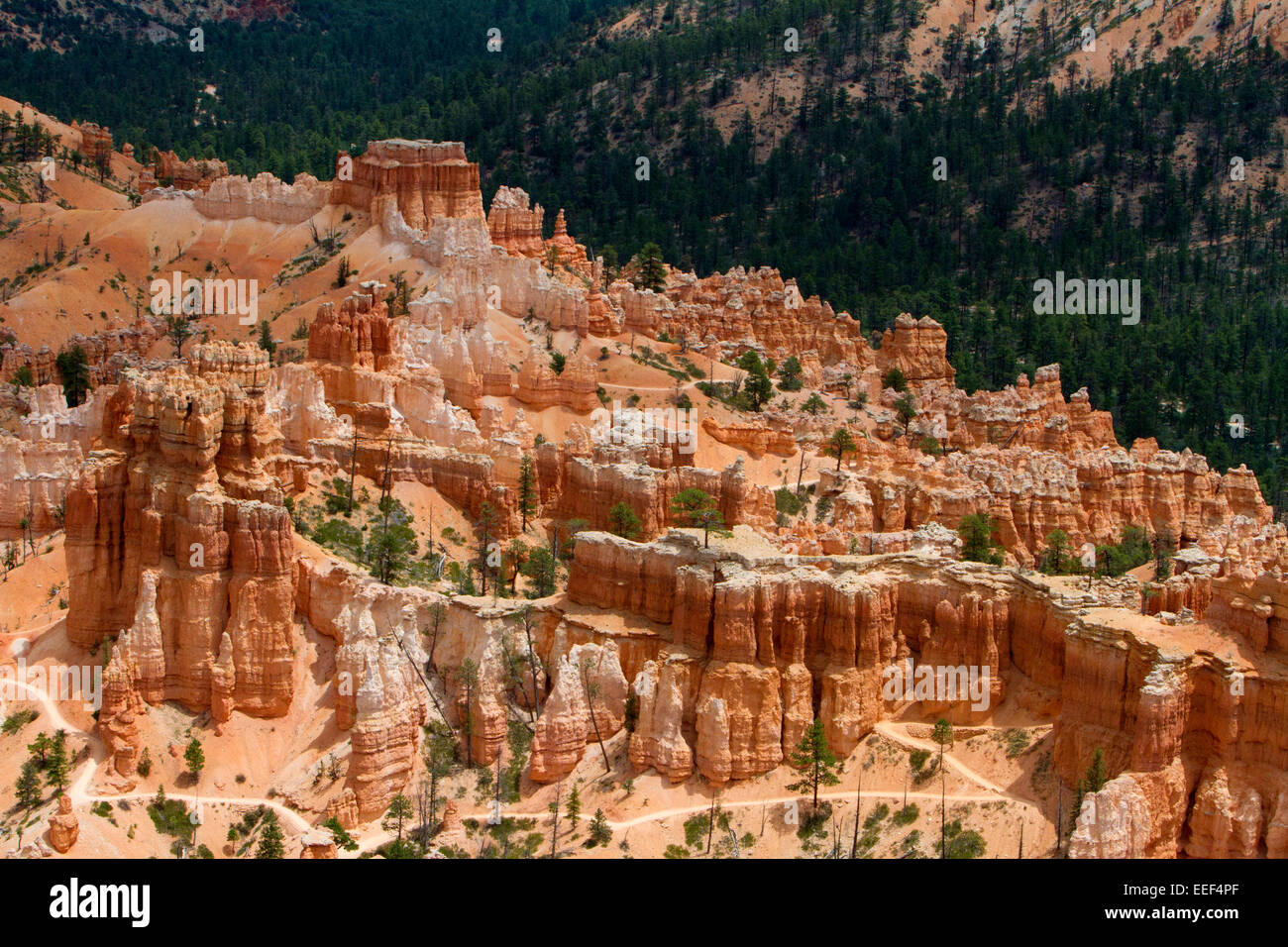 View of hoodoos & other limestone rock formations from Inspiration ...