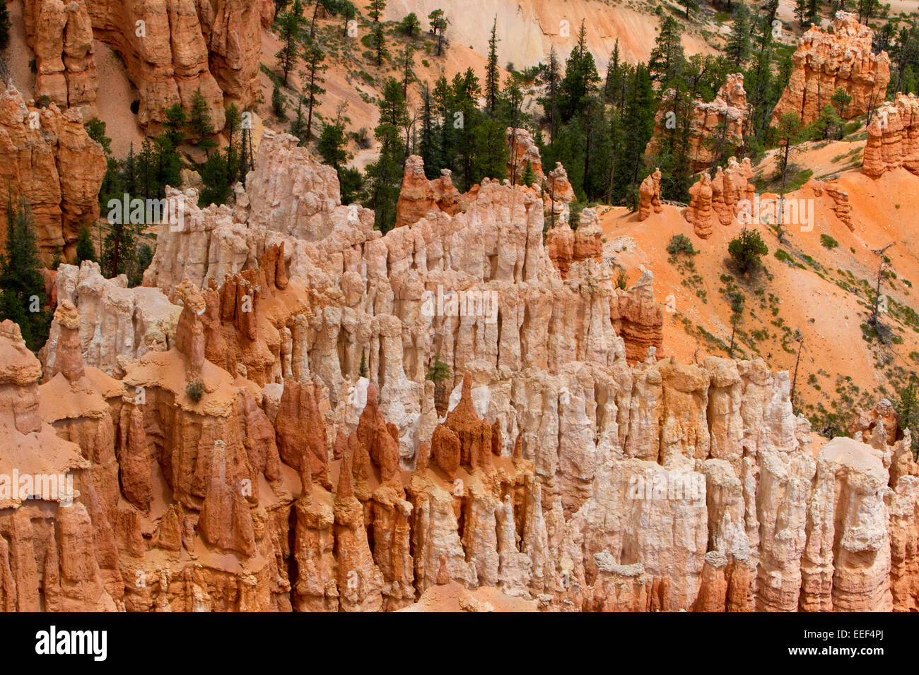 View of hoodoos & other limestone rock formations from Inspiration ...