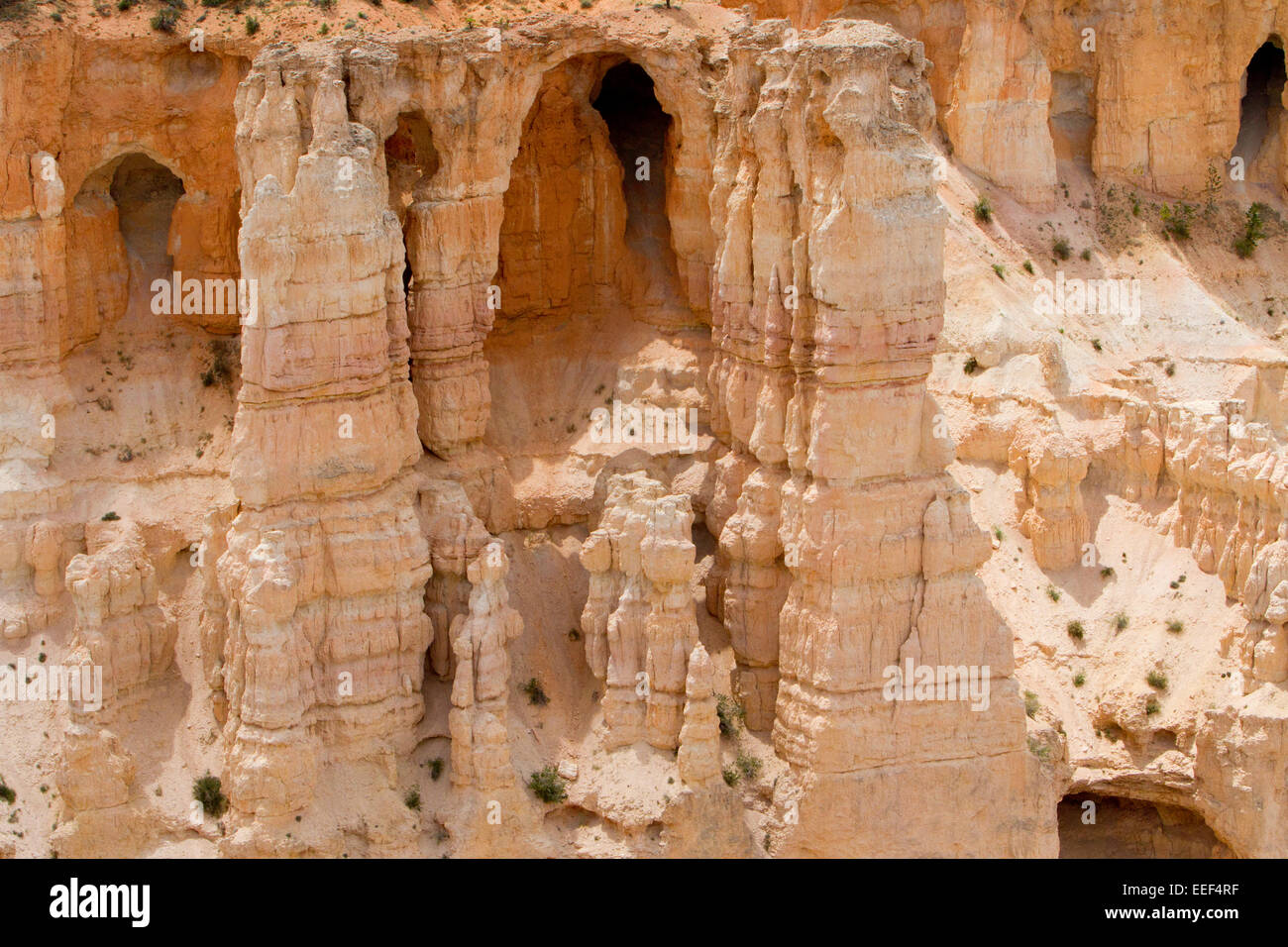 Scenic view of hoodoos & other limestone rock formations from Bryce ...