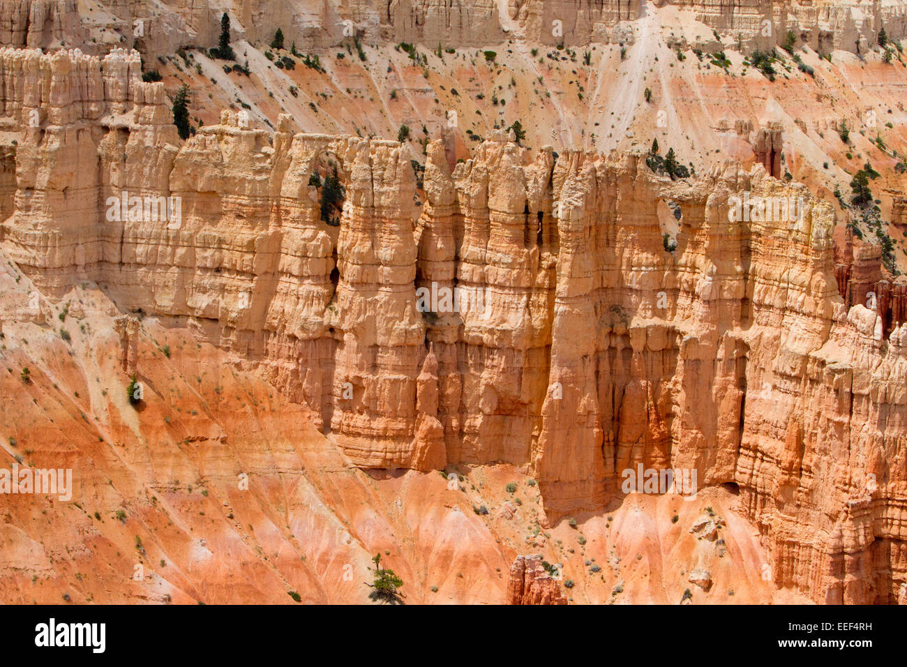 Scenic view of hoodoos & other limestone rock formations from Bryce ...